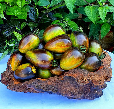 Семена Томат индетерминантный Ананасный 25 семян Солнечный Март, цена ...