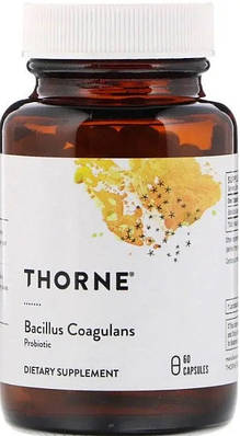 Пробиотики Bacillus Coagulans Thorne Research 60 капсул (24290 ...