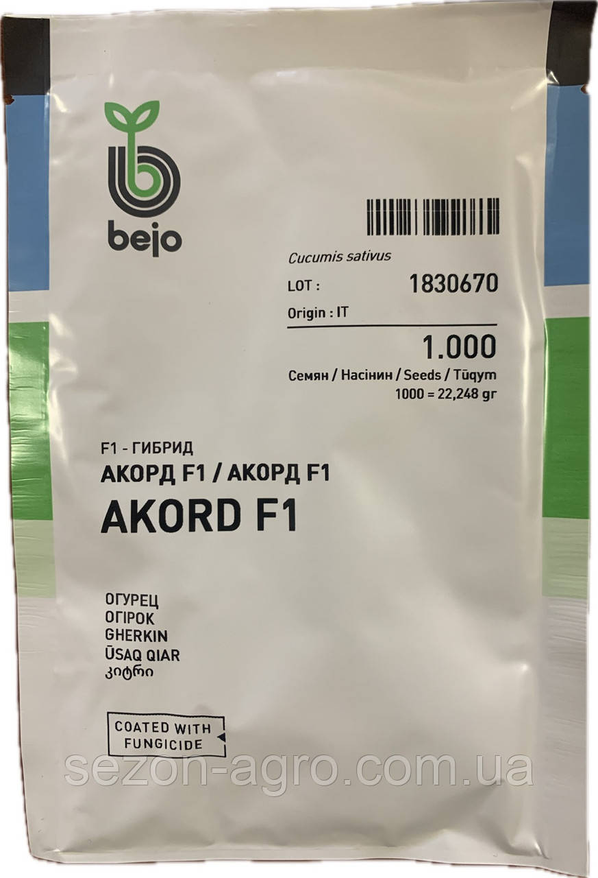 Огірок Акорд F1 1000 н. Bejo Zaden: продаж, ціна у Києві. Насіння, саджанці та розсада від ...