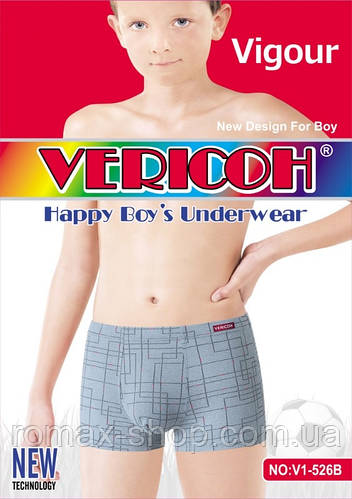 Трусы подростковые VERICOH. Состав 70% cotton, 22% bamboo fiber, 8% spandex. Размерный ряд (M, L ...