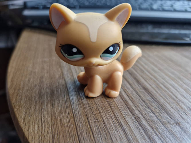 Lps littlest pet shop стоячки - лпс кішка #1451 -стара колекція (ID ...