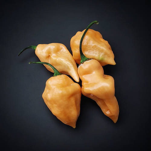 Семена Перец острый Trinidad Moruga Scorpion Peach Long, Capsicum ...