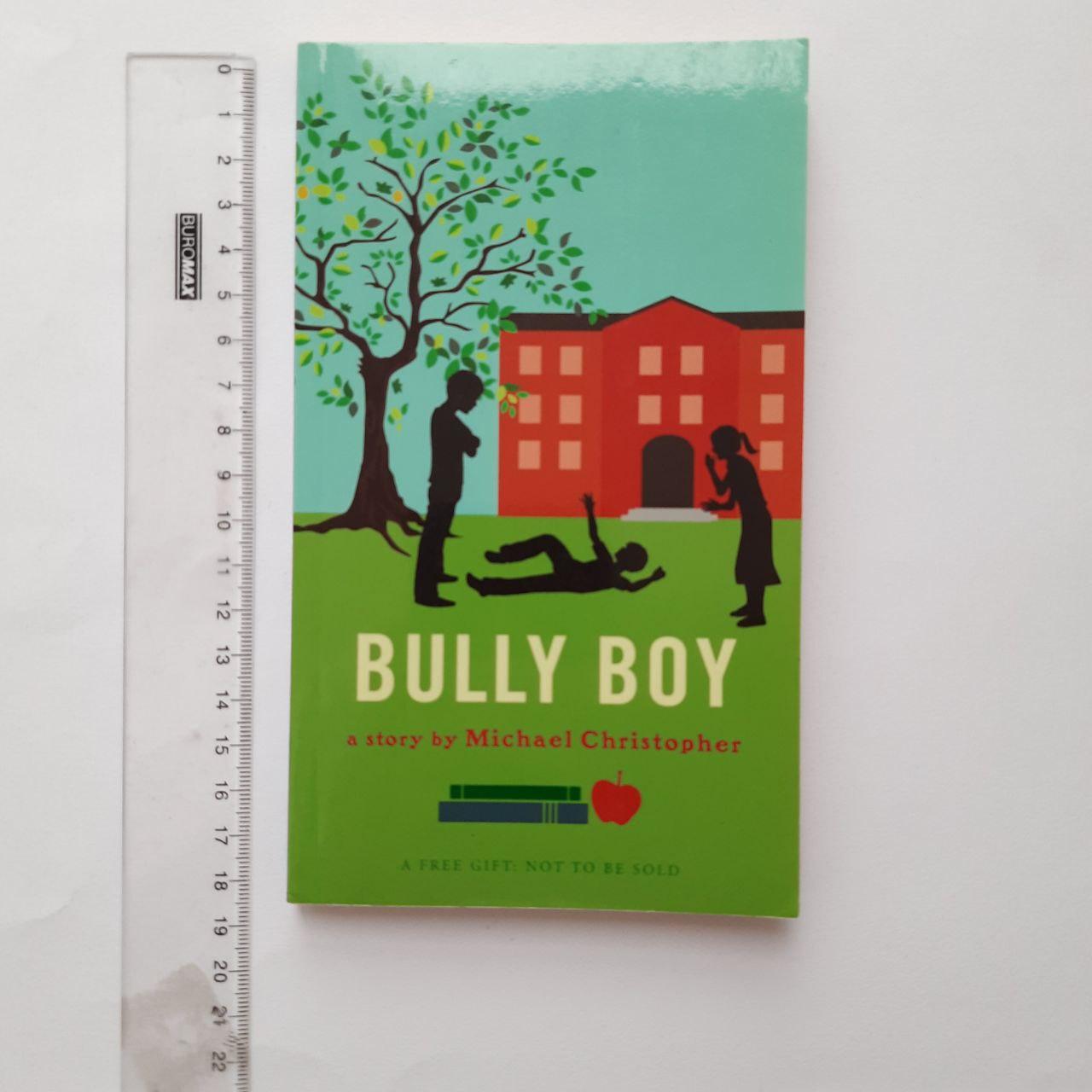 Bully Boy розповідь Майкла Крістофера книга англійською БУ (ID ...