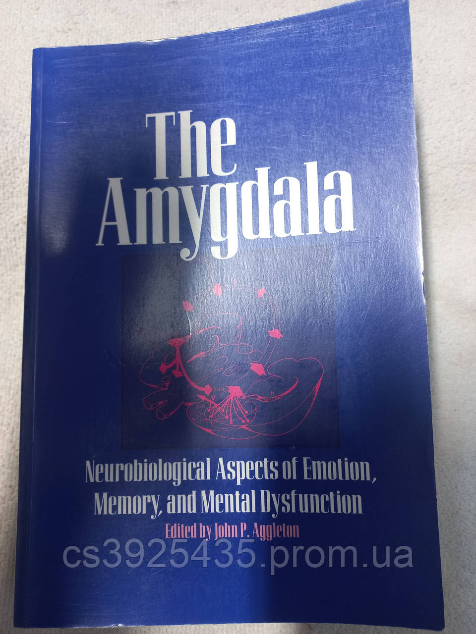 The Amygdala: Neurobiological Aspects of Emotion, Memory, and Mental ...