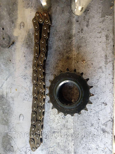 Зірка приводу оливонасоса Renault Nissan K4M K9K 8200313628 (ID ...