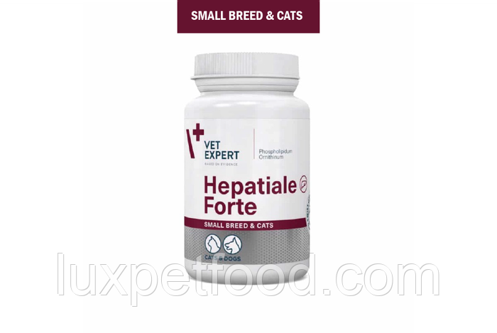 Hepatiale Forte Гепатопротектор Гепатиале Форте для поддержки и защиты ...