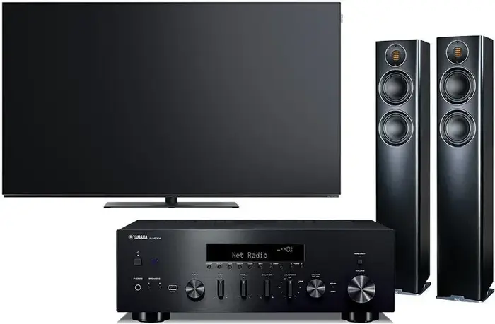 Loewe WE.SEE.OLED65 (czarny) + RN600A/CARINA FS247.4, ціна: 260900 ...