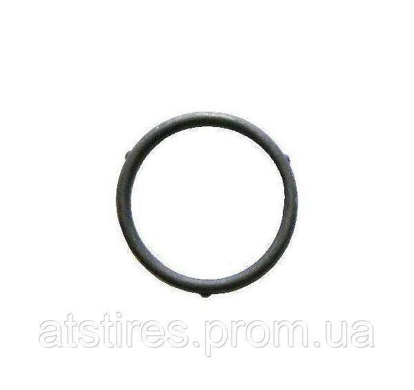 Ущільнювальне кільце масляного насоса (DT) 1351692 | 1.24265 (ID ...