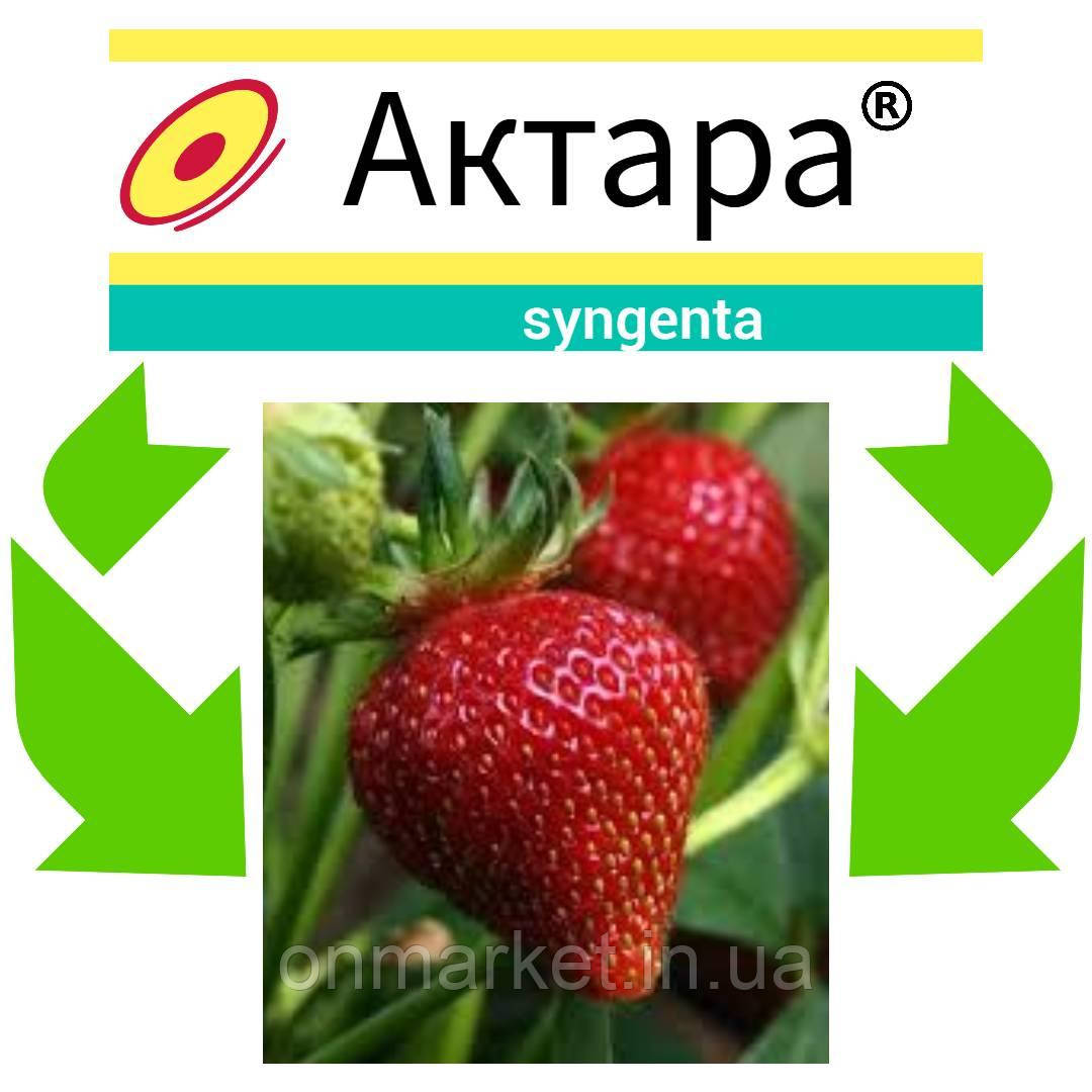 Актара на полуниці: інструкція, дози