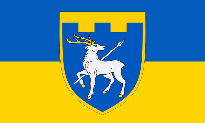 Прапор 123 Бригада ТрО Миколаїська область, 150х90 см, ціна: 600 ...