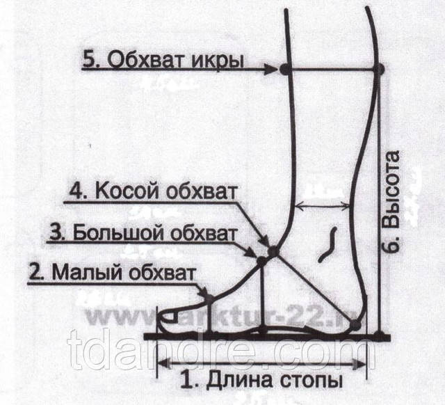 Как определить размер своей стопы? Статья компании Торговый дом "Andre"