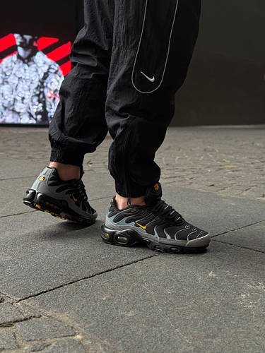 Кроссовки мужские Nike Air Max Plus "Batman" / DC0956-001, цена: 4200 ...