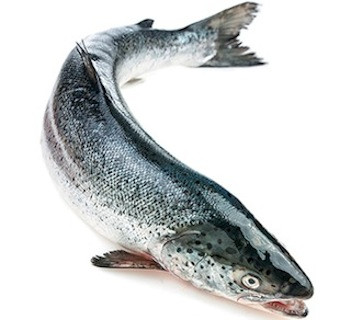 [Група] за низькими ціна в [Регіоні]