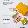 Купить Быстрая Программа Детоксикации и Очищения Организма EXPRESS DETOX BOX CHOICE (2601035172 ...