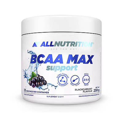BCAA Max Support - 250g Black curant, ціна: 315 ₴, купити на Prom.ua