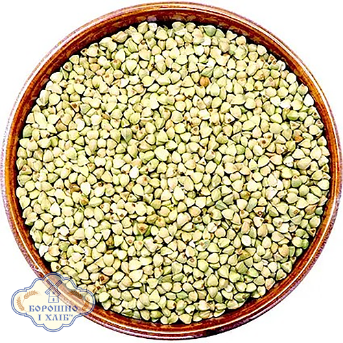 ЗЕЛЕНА ГРЕЧКА (ЗЕРНО) ДЛЯ ПРОРОЩУВАННЯ (180 грн. за 2 кг.) (ID#1041370183), ціна: 180 ₴, купити ...