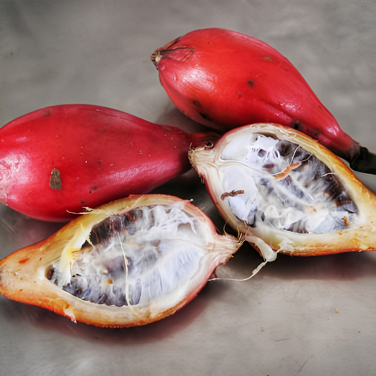 Насіння Гінгуенга, Aframomum sp. 'Uganda' 5 шт/уп: продаж, ціна у Києві ...