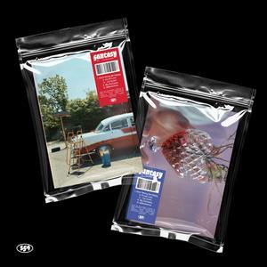 CD диск Sf9 - Fantasy 1CD (8804775450549), цена: 2195 ₴, купить на Prom.ua