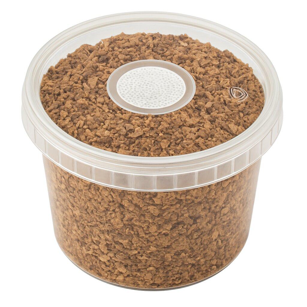 Ентомофаг Амблісеус Монтдоренсіс (Amblyseius montdorensis) — Корисні ...