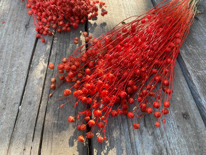 Льон червоний сухоцвіт натуральний, вязка h-60 см, ціна: 70 ₴, купити ...