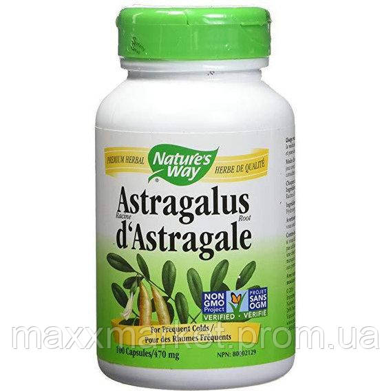 Корінь астрагалу Nature's Way Astragalus Root 470 mg 100 Caps ...