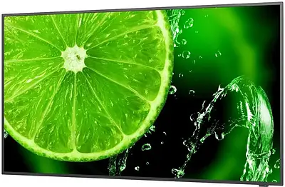 Монітор Nec Монітор Multisync E498 Uhd 350Cd/M2 16/7, ціна: 48900 ₴, купити на Prom.ua