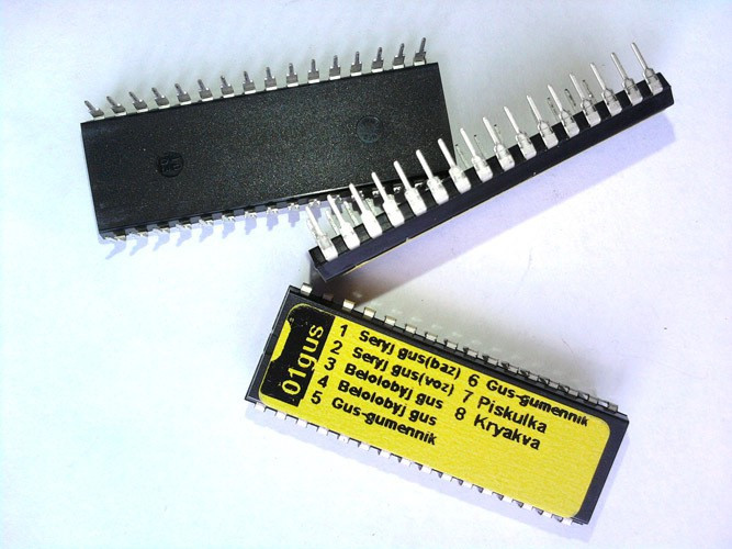 Чіп для ел.манка Mundi Sound "Гусь" MP100-1, цена: 540 ₴, купить на Prom.ua