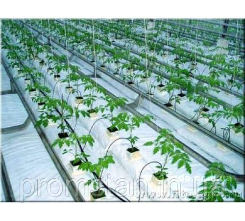 Купити Капельник, профілі для теплиць, лотки для овочів, ціна - Prom.ua ...