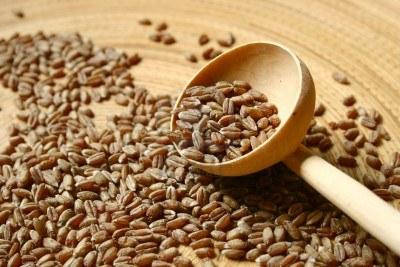 Купить Полба зерно , 200г, цена 16 грн — Prom.ua (ID#526410004)