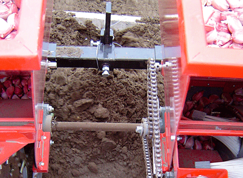 Сажалка для чеснока PLMA двухстрочная. Саджалка для часнику PLMA ...