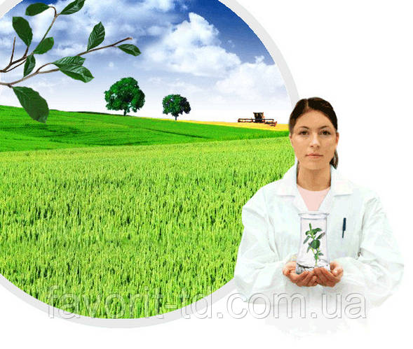 Купить Фунгицид Фоликур 250 ЕВ ( тебуконазол, 250 г/л ), цена — Prom.ua ...