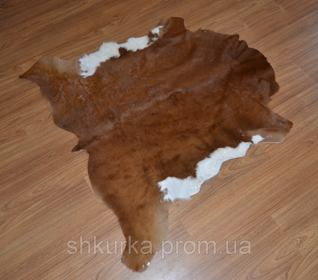 Шкура теленка 01 I Шкура телячья на пол I Шкура теленка купить в ...