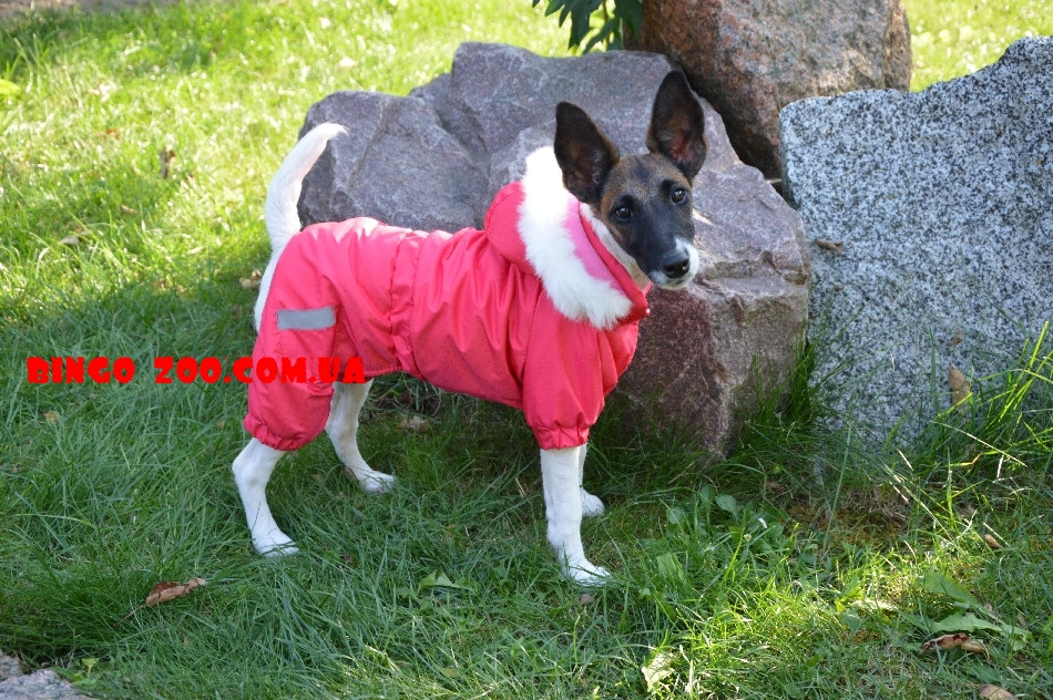 Комбинезон для Собаки Сильвер на Флисе Малиновый — Купить Недорого на ...