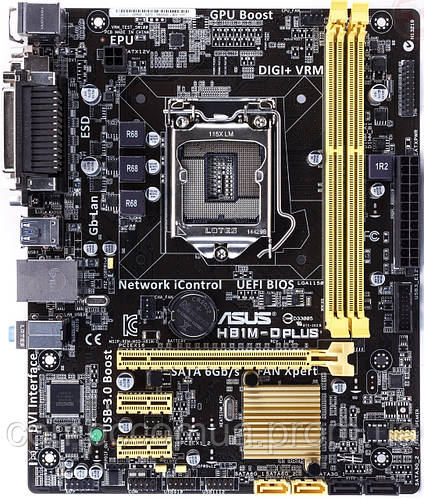 Asus H81M-D Plus (s1150, Intel H81, PCI-Ex16) (ID#601648893), ціна ...
