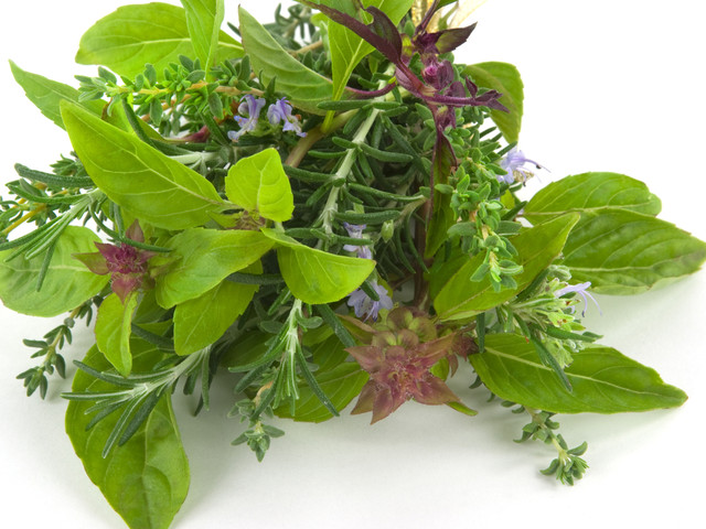 Пряно-ароматные травы. Товары и услуги компании "AGROTEREM"